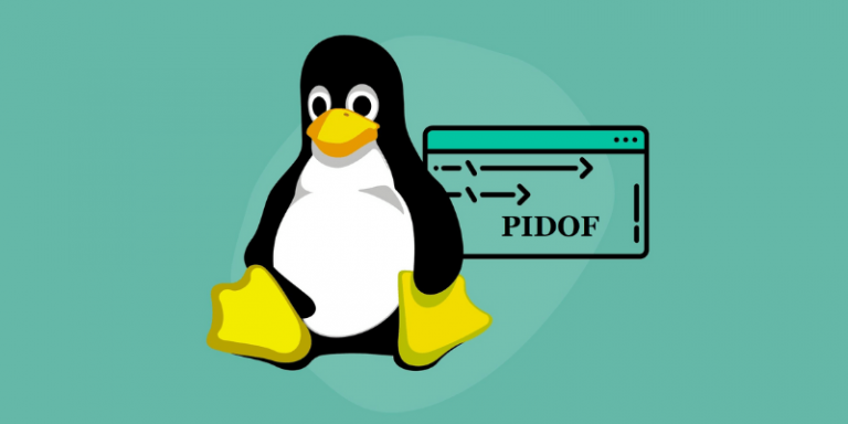¿Cómo saber el PID de un proceso Linux?