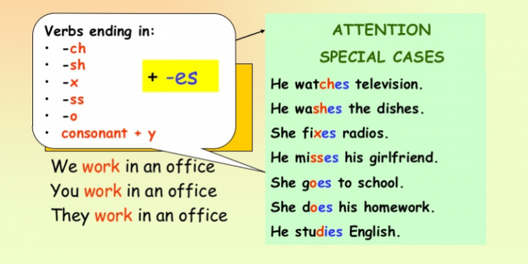 ¿Cómo se forma el presente simple en inglés?